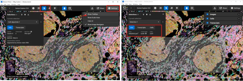 Xenium Explorer User Guide: How to Visualize and Analyze Spatial ...